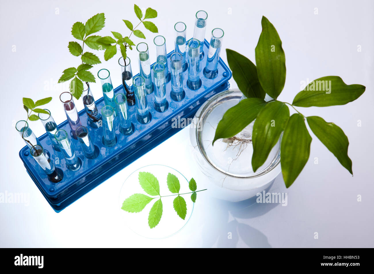 ecology, laboratory, chemistry, biology, chemical, biotechnology ...