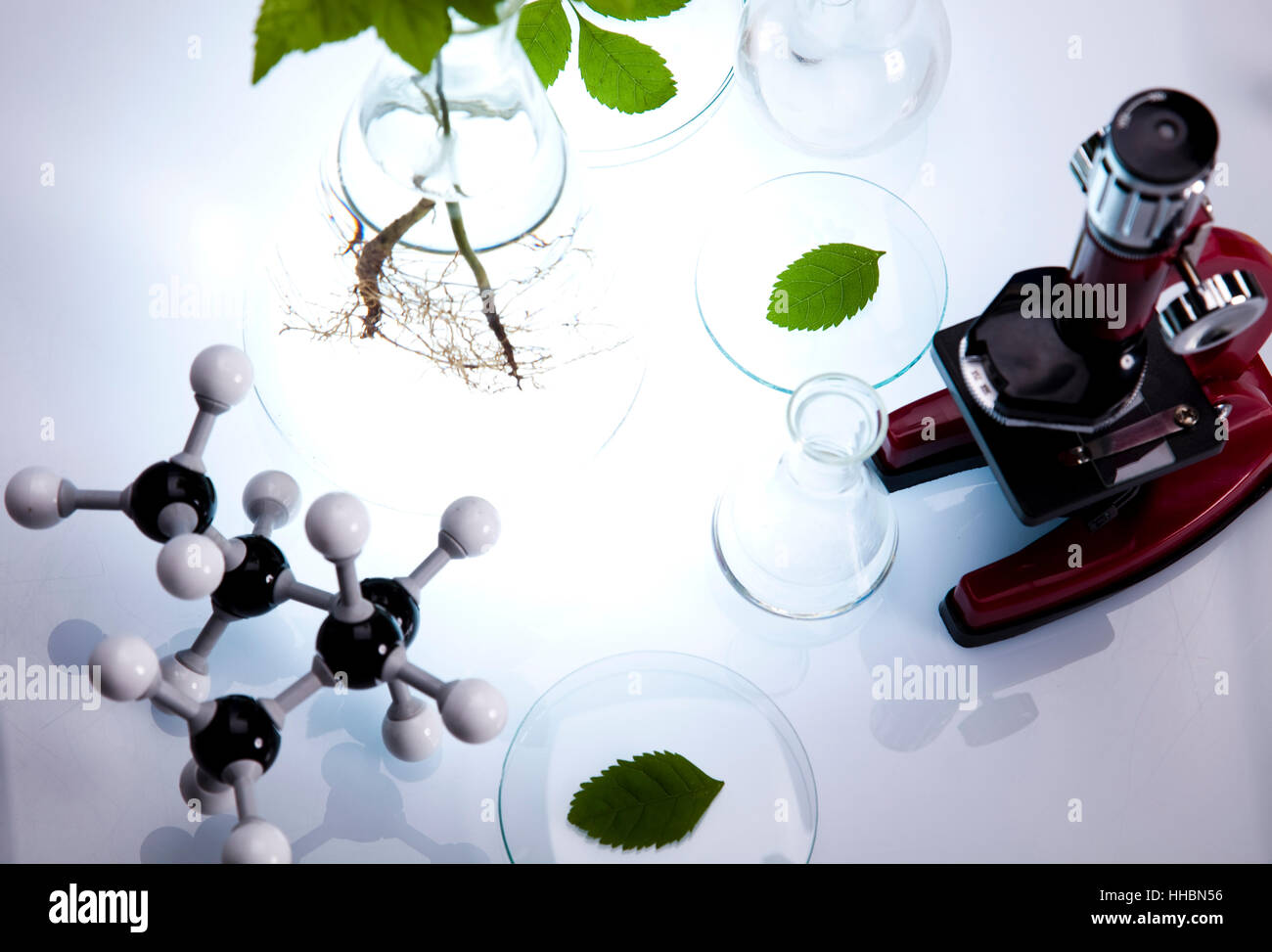 ecology, laboratory, chemistry, biology, chemical, biotechnology ...