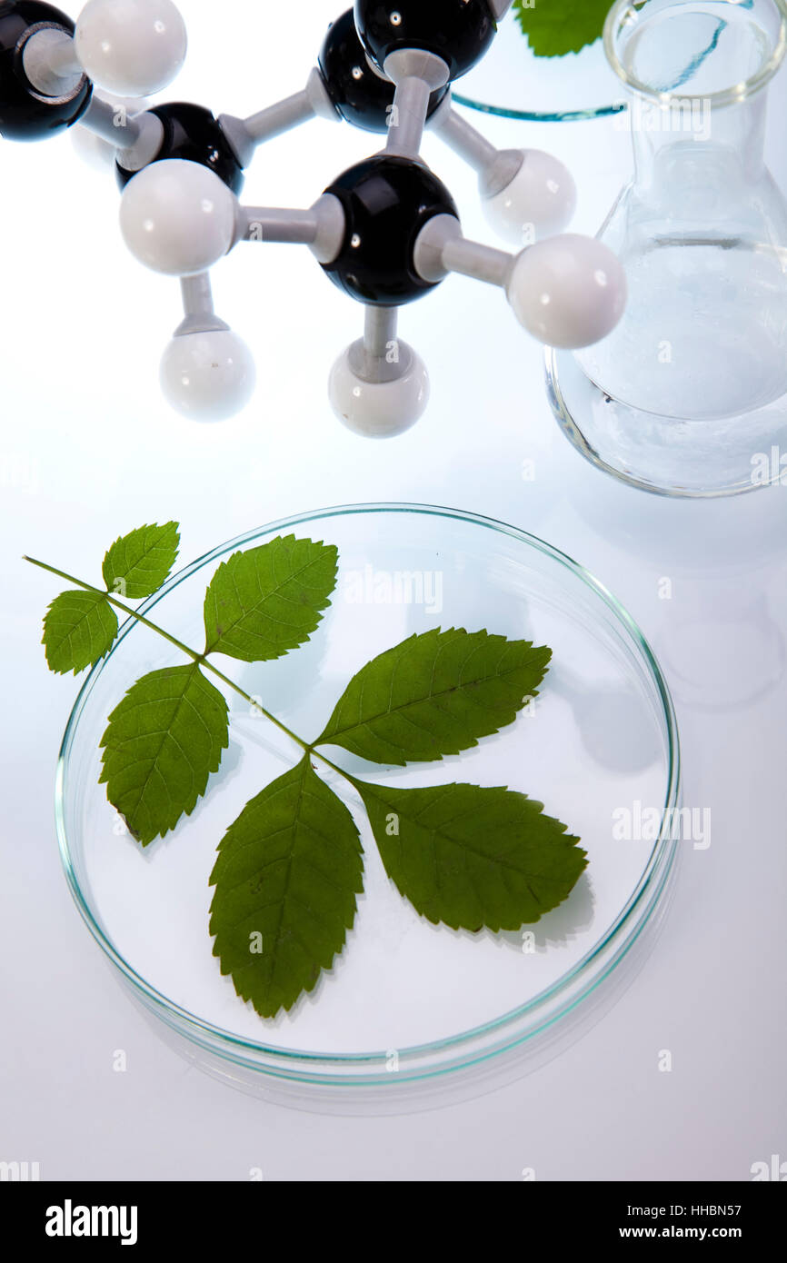 ecology, laboratory, chemistry, biology, chemical, biotechnology ...