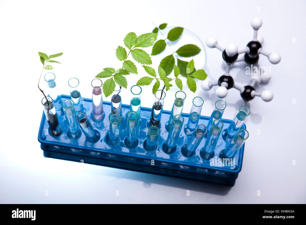 ecology, laboratory, chemistry, biology, chemical, biotechnology ...