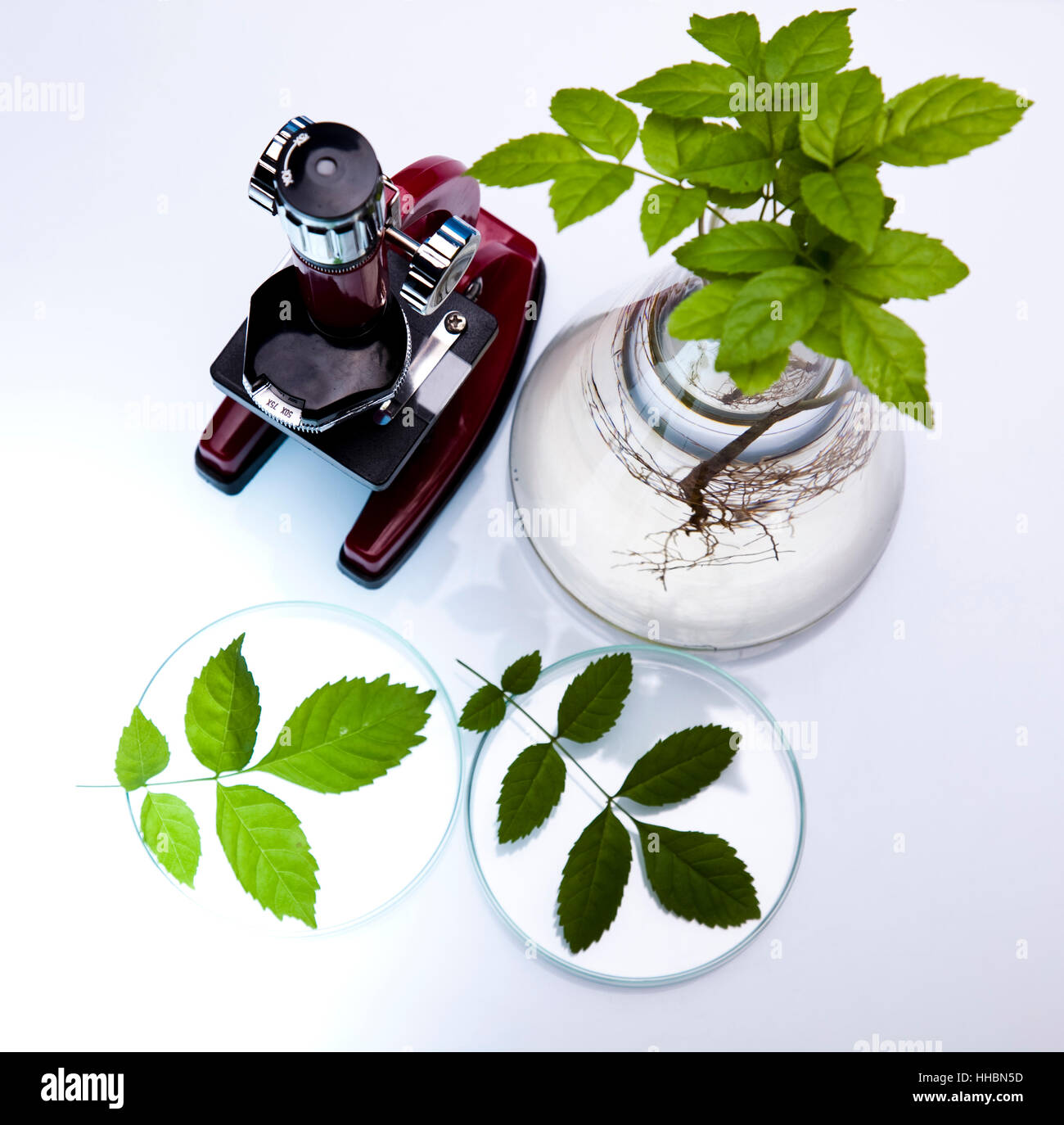 ecology, laboratory, chemistry, biology, chemical, biotechnology ...