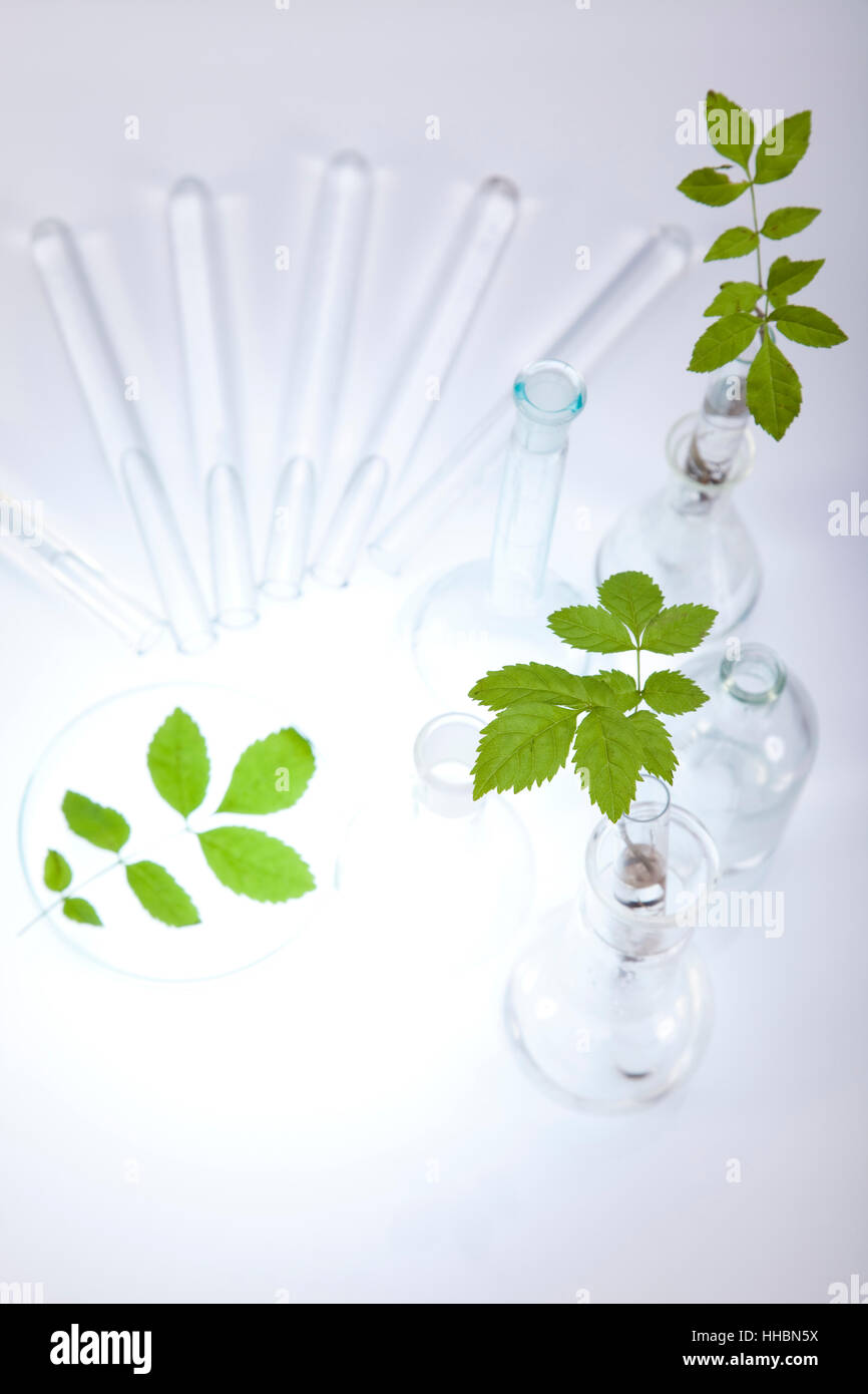 ecology, laboratory, chemistry, biology, chemical, biotechnology ...