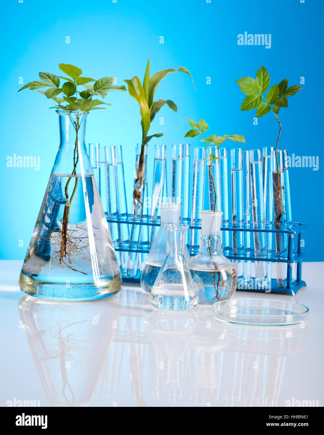 ecology, laboratory, chemistry, biology, chemical, biotechnology ...