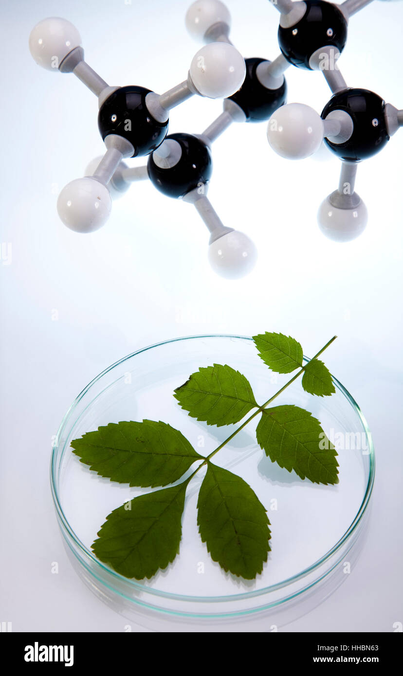 ecology, laboratory, chemistry, biology, chemical, biotechnology ...