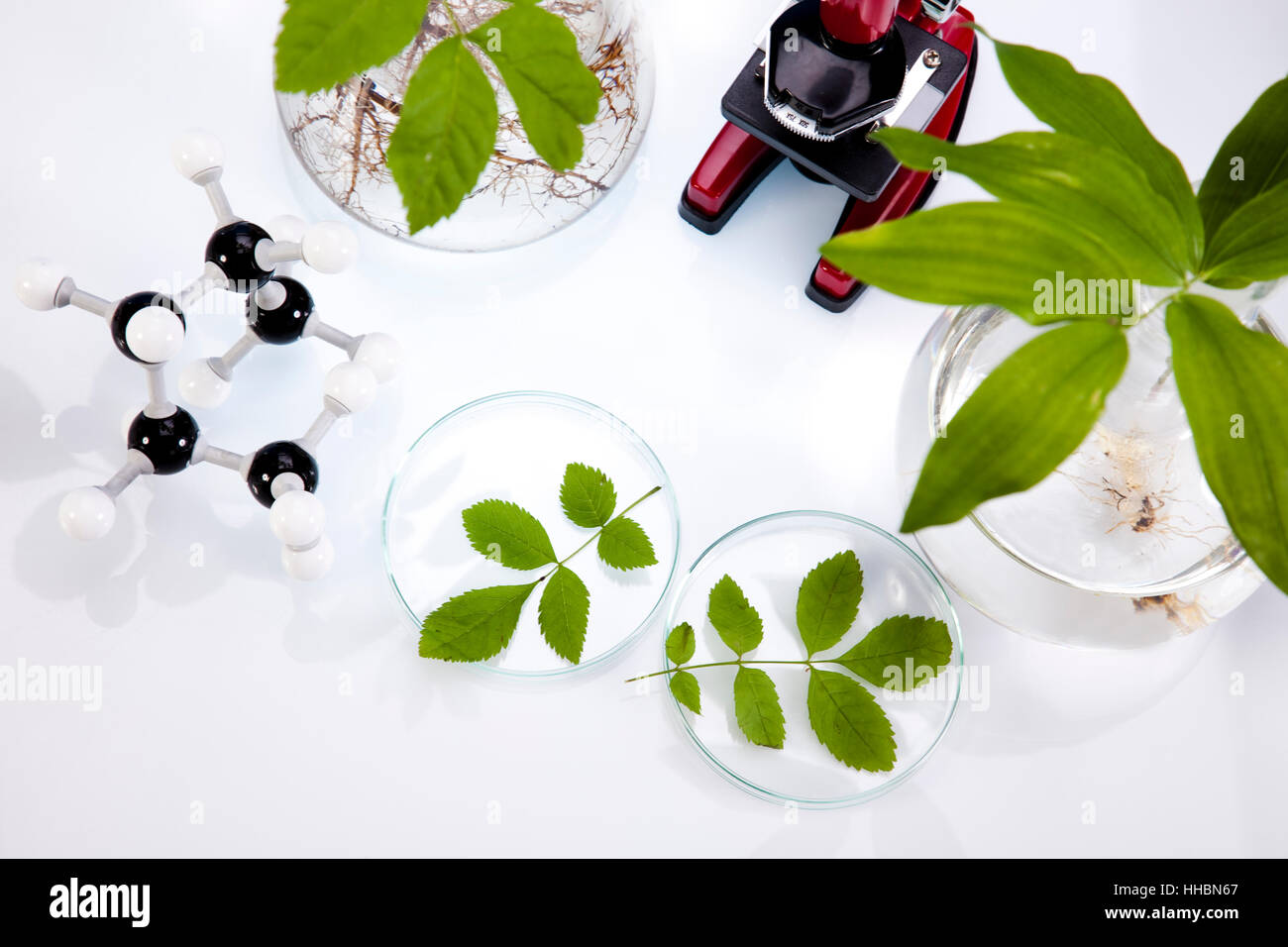 ecology, laboratory, chemistry, biology, chemical, biotechnology ...