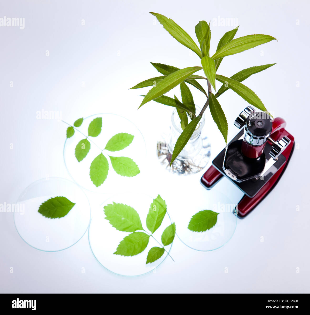 ecology, laboratory, chemistry, biology, chemical, biotechnology ...