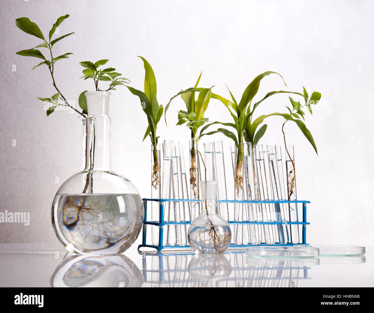 ecology, laboratory, chemistry, biology, chemical, biotechnology ...