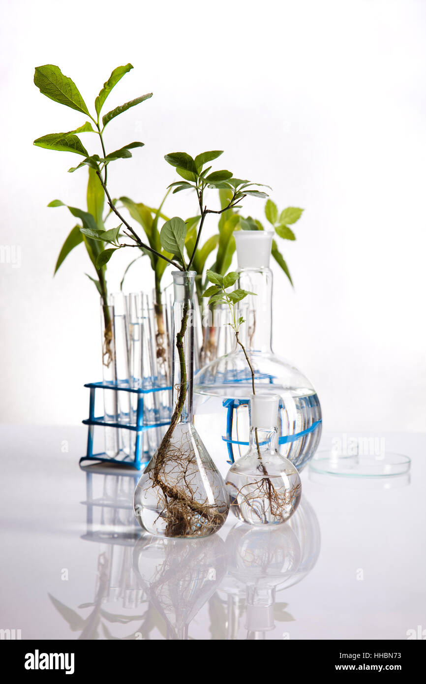 ecology, laboratory, chemistry, biology, chemical, biotechnology ...