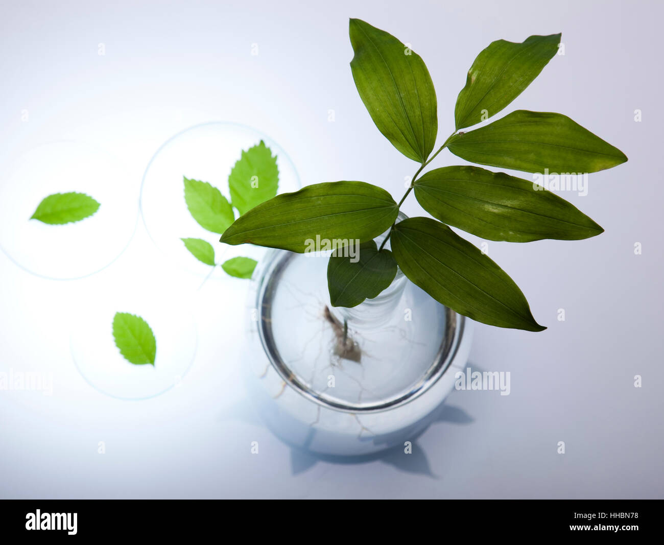 ecology, laboratory, chemistry, biology, chemical, biotechnology ...