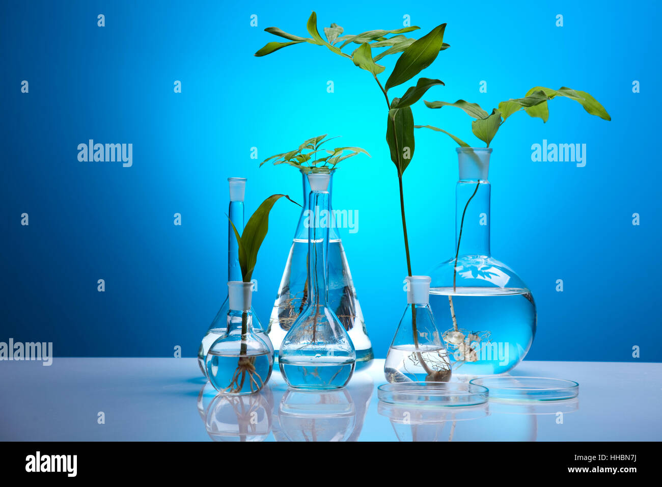 ecology, laboratory, chemistry, biology, chemical, biotechnology ...