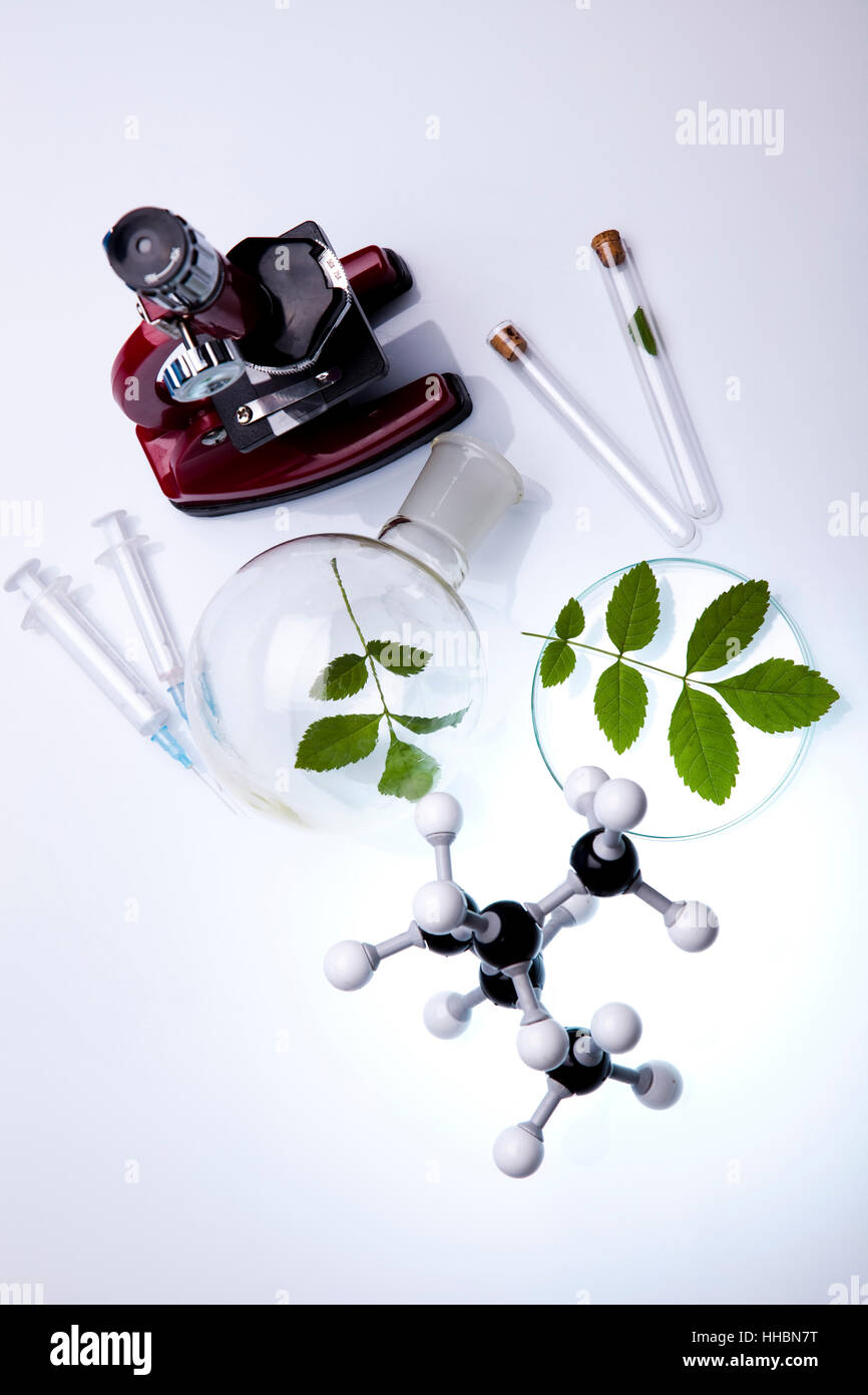 ecology, laboratory, chemistry, biology, chemical, biotechnology ...