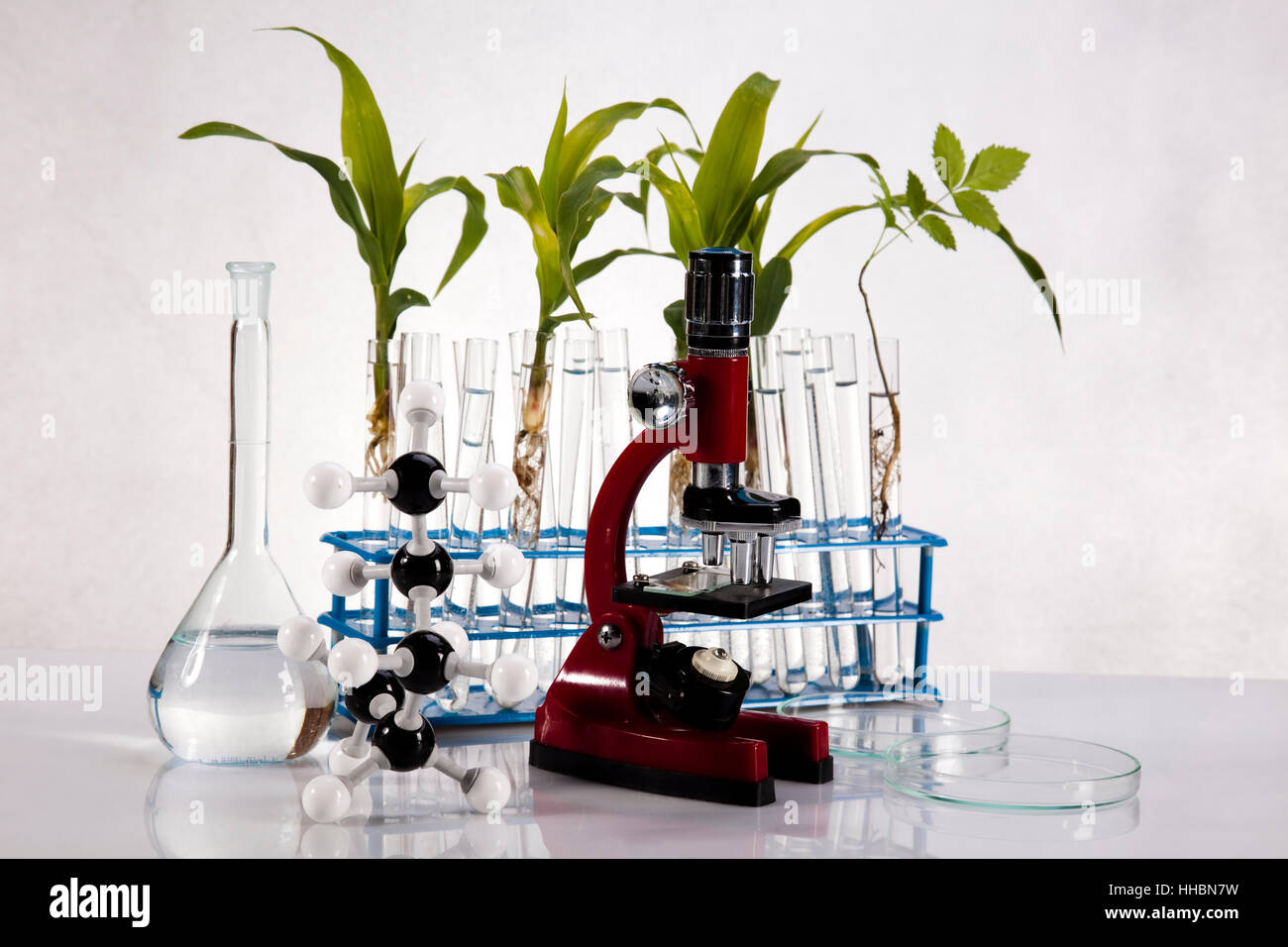 ecology, laboratory, chemistry, biology, chemical, biotechnology ...