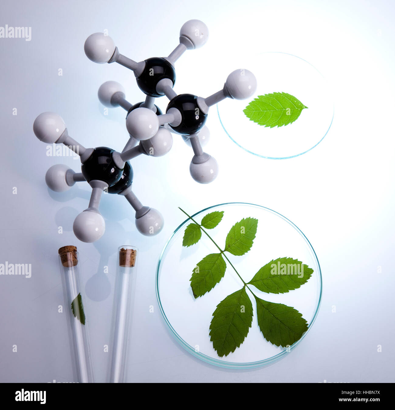 ecology, laboratory, chemistry, biology, chemical, biotechnology ...