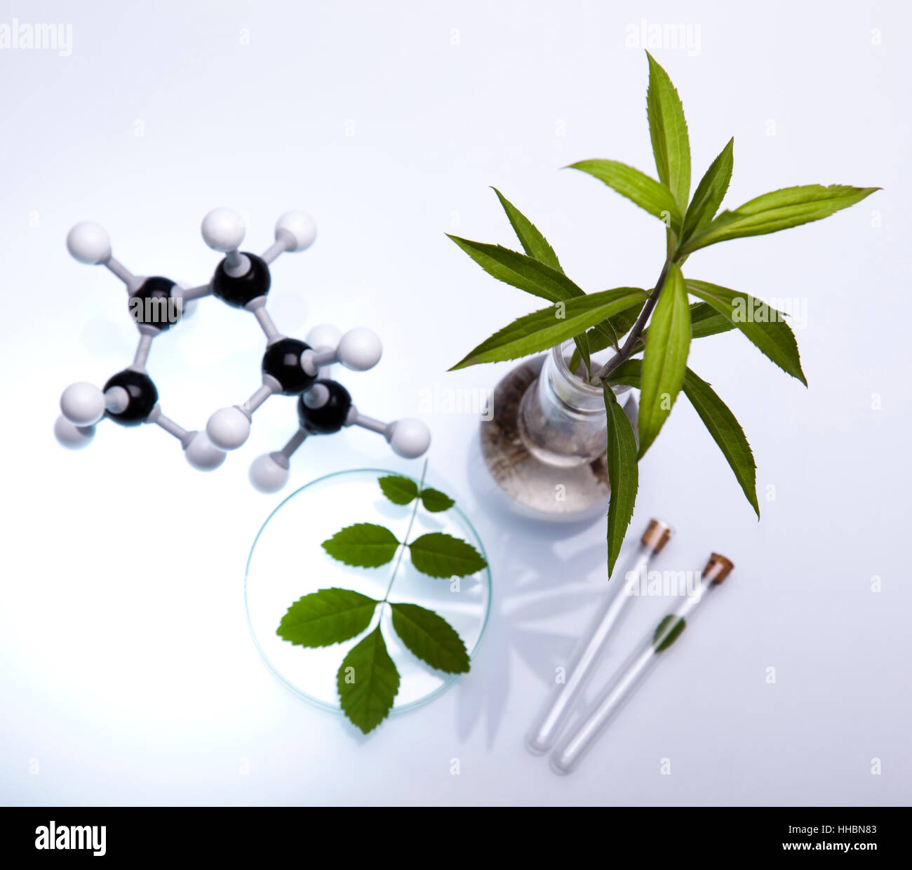 ecology, laboratory, chemistry, biology, chemical, biotechnology ...