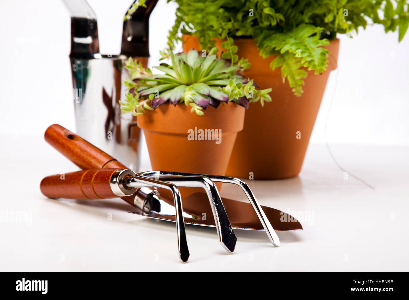 tool, garden, flower, plant, spring, gardening, lawn, green, nature ...