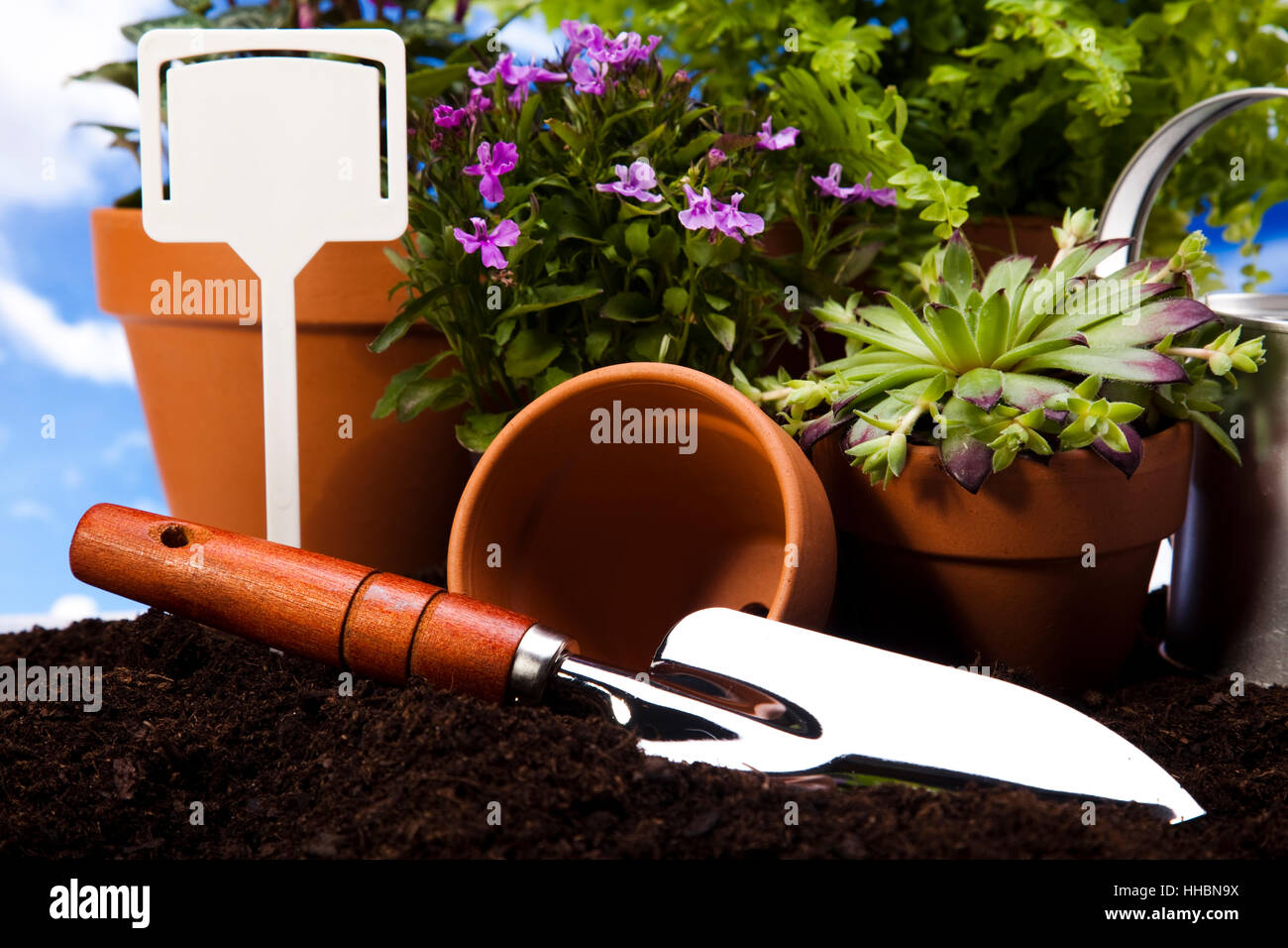 tool, garden, flower, plant, spring, gardening, lawn, green, nature ...
