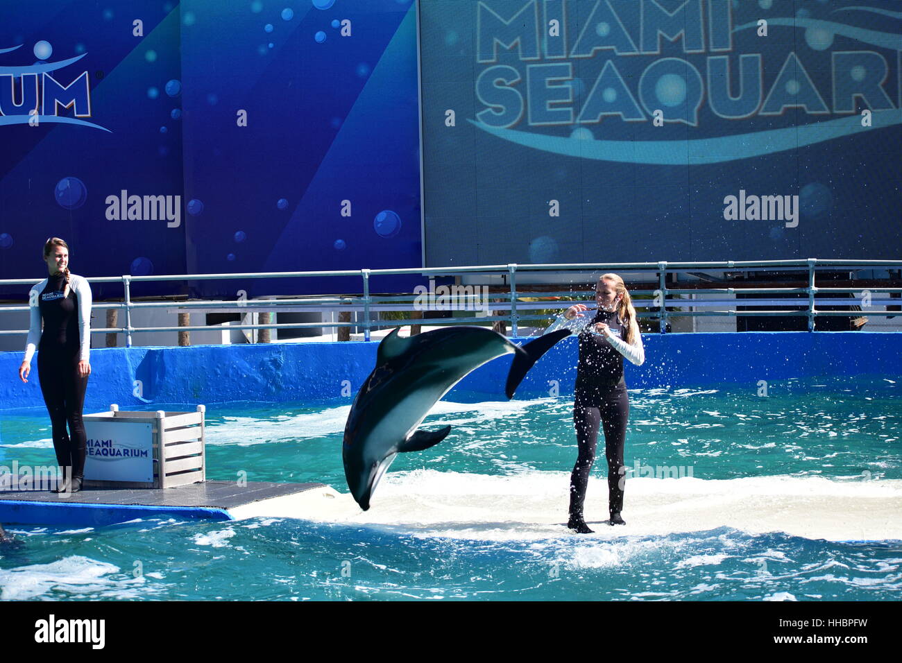 Miami, Florida - USA - January 08, 2016:Miami, Florida - USA - January ...