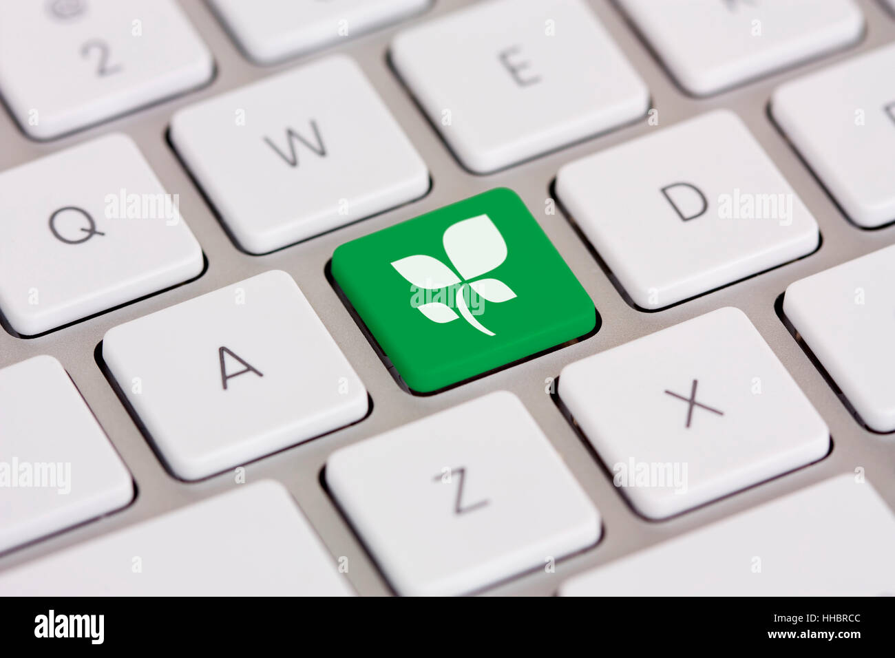 Leaf graphic on green computer keyboard key - green technology Stock ...