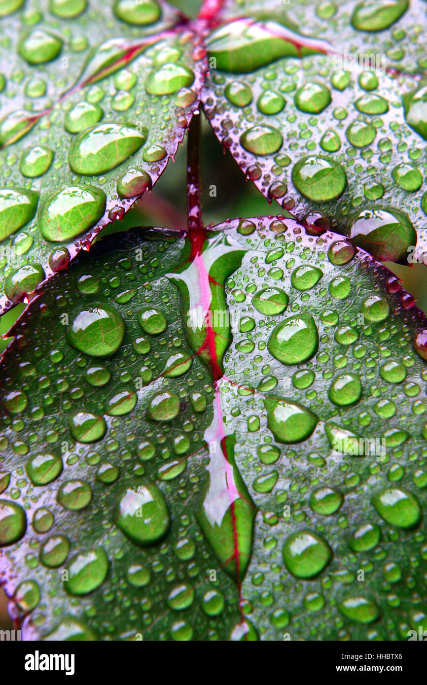 Till lives hi-res stock photography and images - Alamy