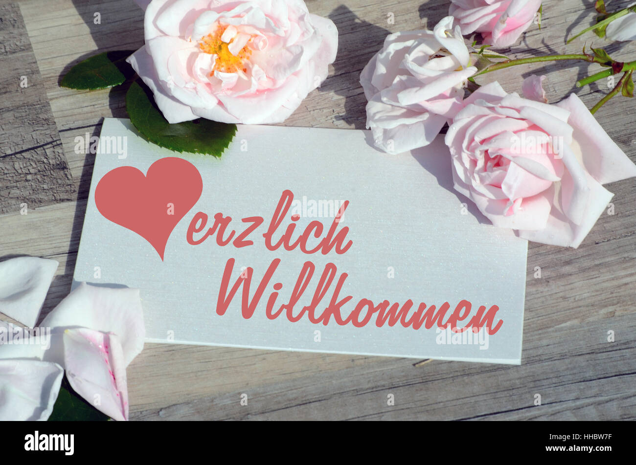 welcome rose shield Stock Photo - Alamy