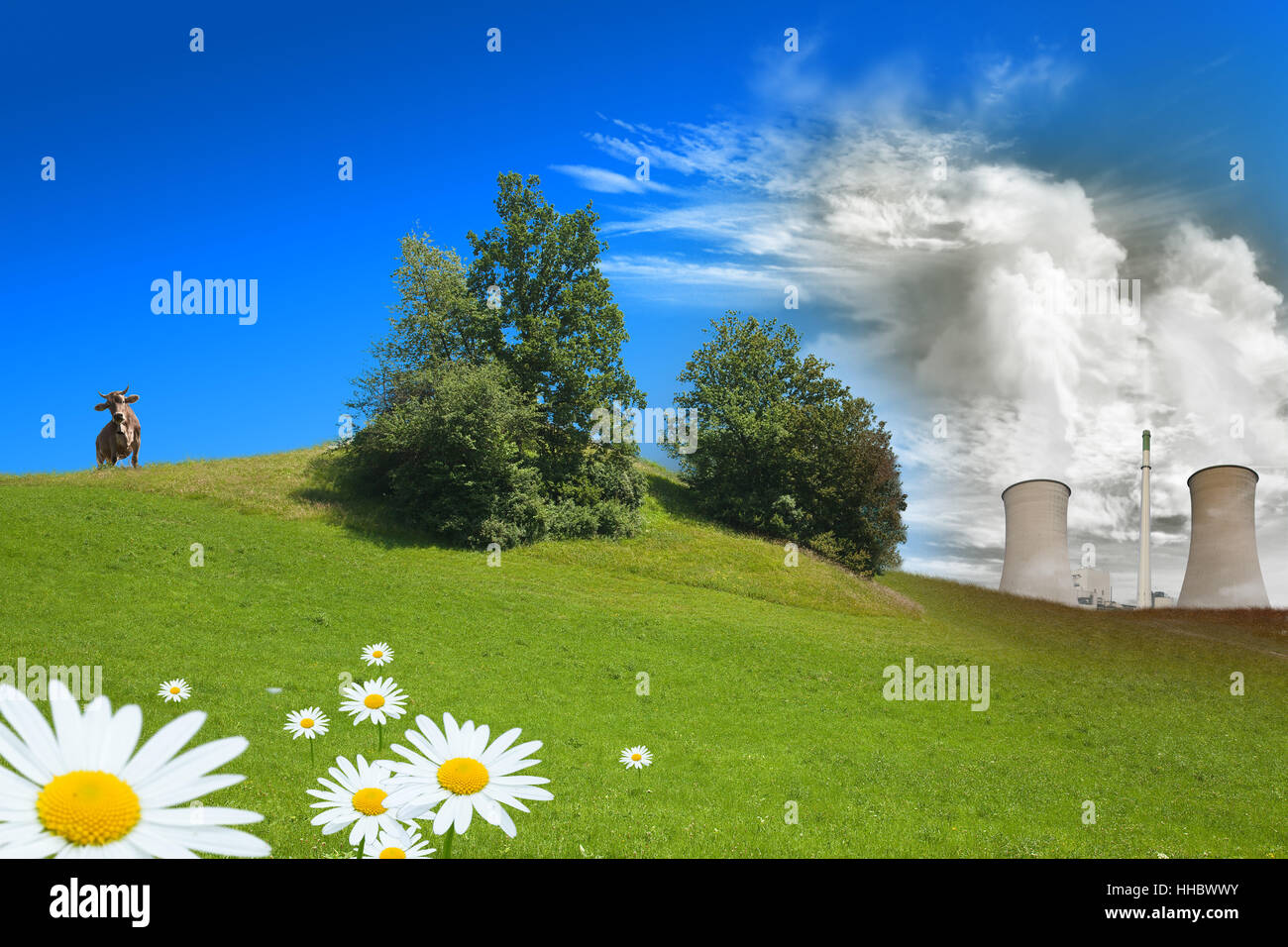 eco, energy, power, electricity, electric power, cow, charcoal pile ...