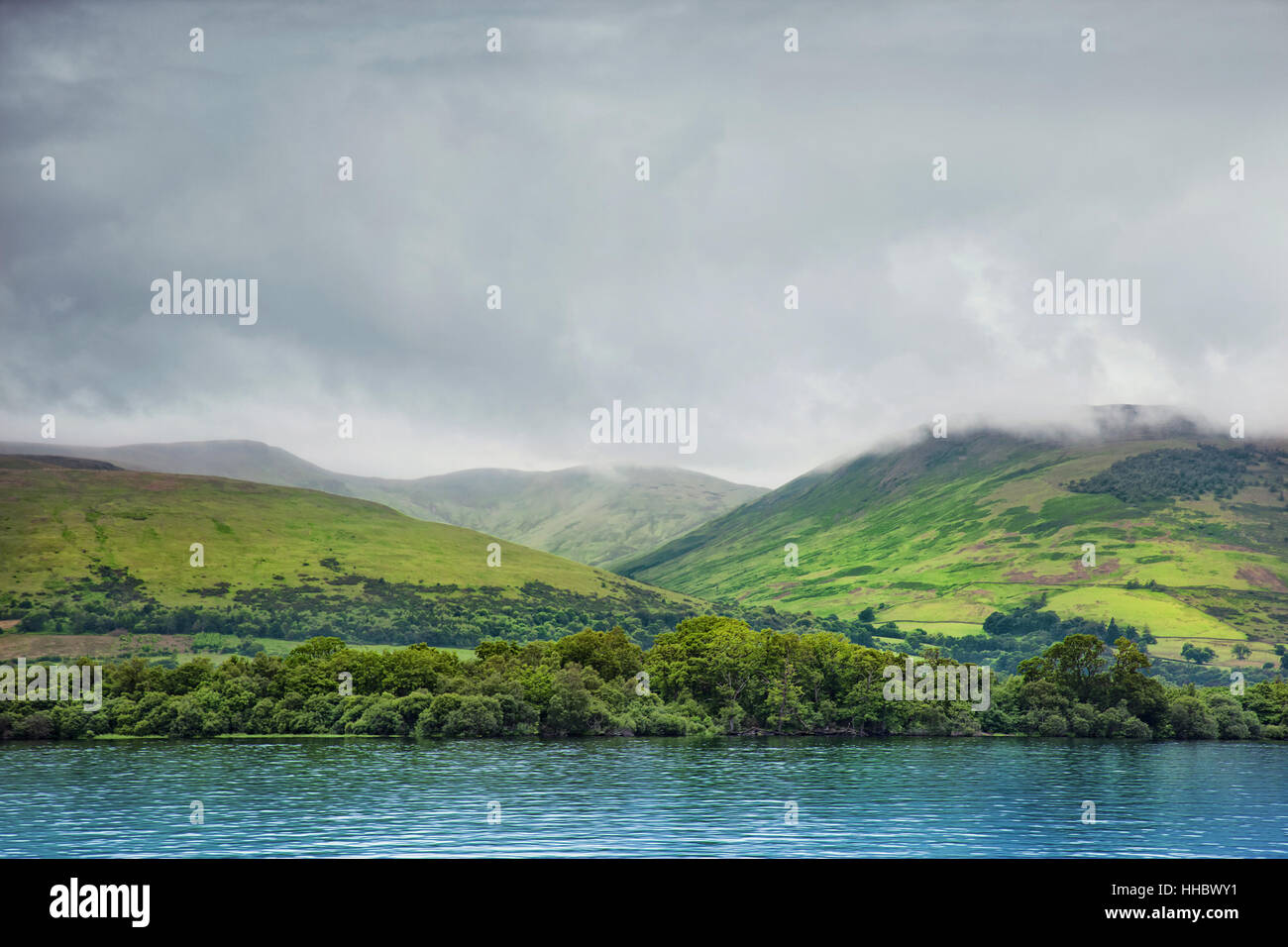 blue, beautiful, beauteously, nice, environment, enviroment, tree ...