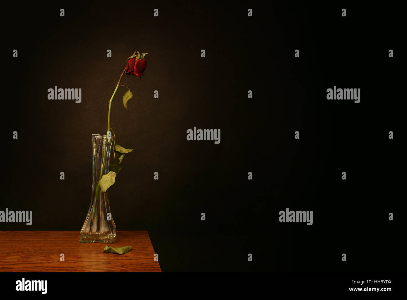 Rose pedals dying hi-res stock photography and images - Alamy