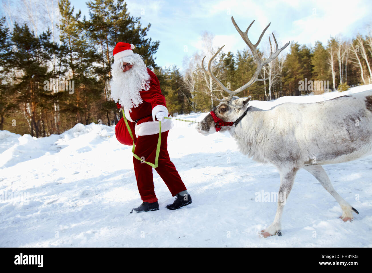 humans, human beings, people, folk, persons, human, human being, walk ...