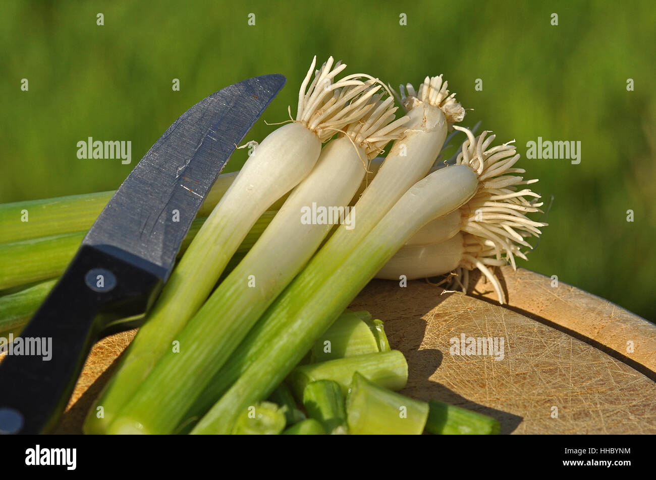 vegetable, leek, arm, weapon, knive, knife, vegetable, shelf, cut ...
