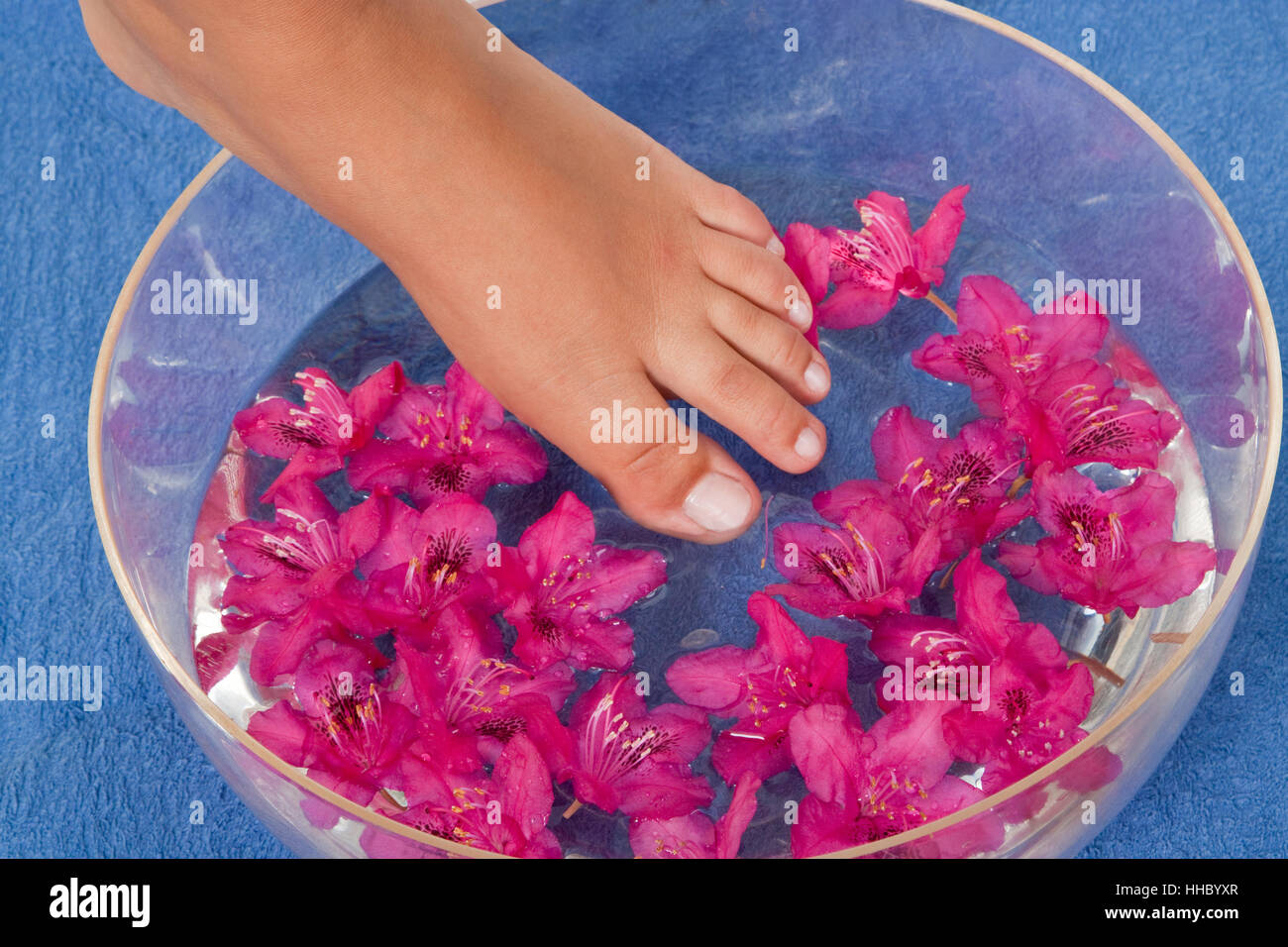 blossoms, foot, feet, bleed, footbath, care of the feet, beauty culture ...