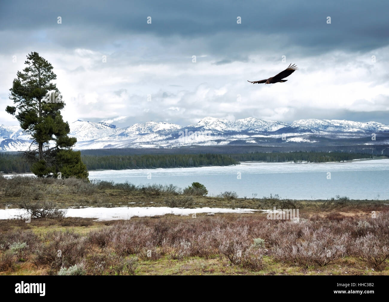 sight, view, outlook, perspective, vista, panorama, lookout, open ...