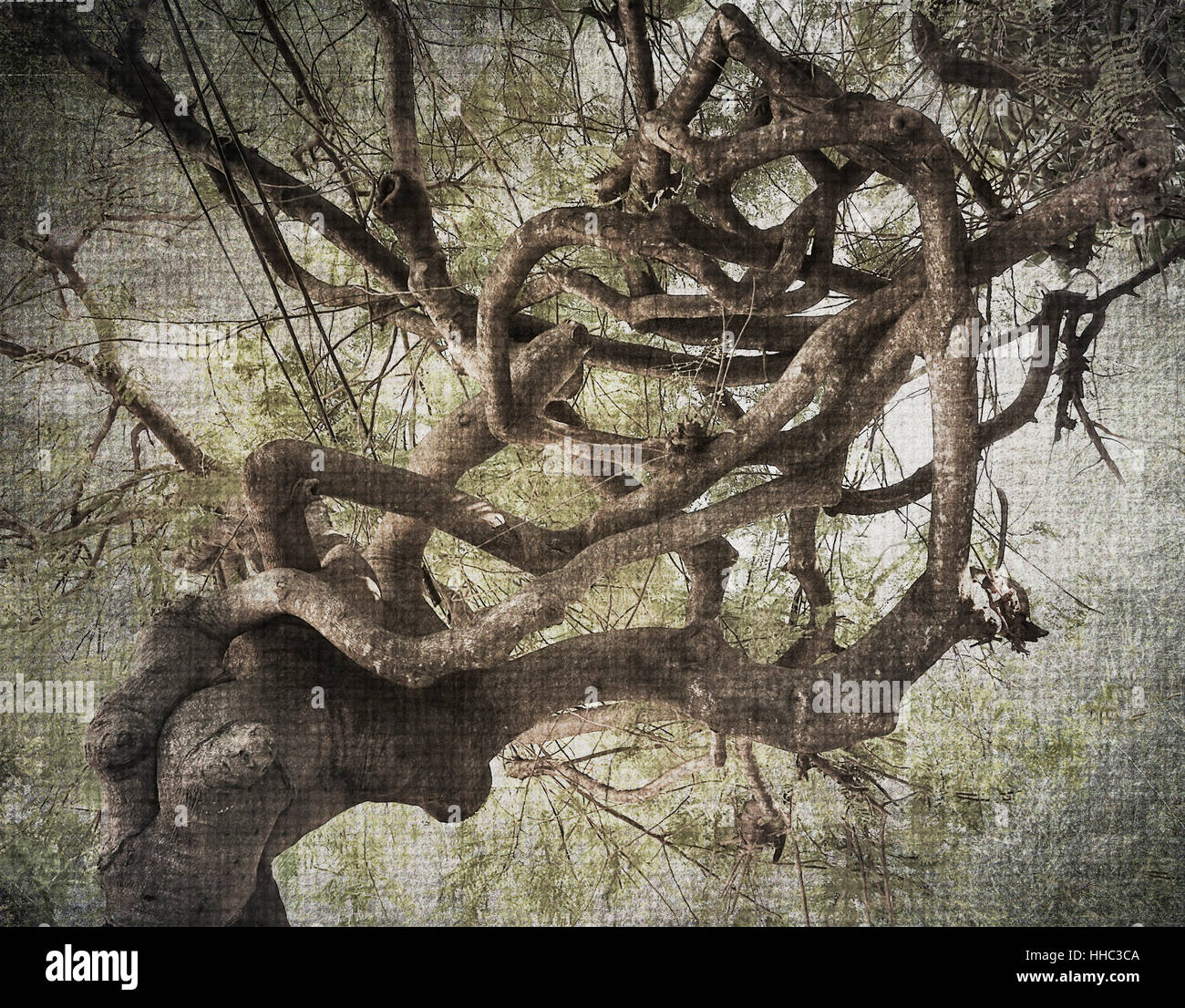 big, large, enormous, extreme, powerful, imposing, immense, relevant ...