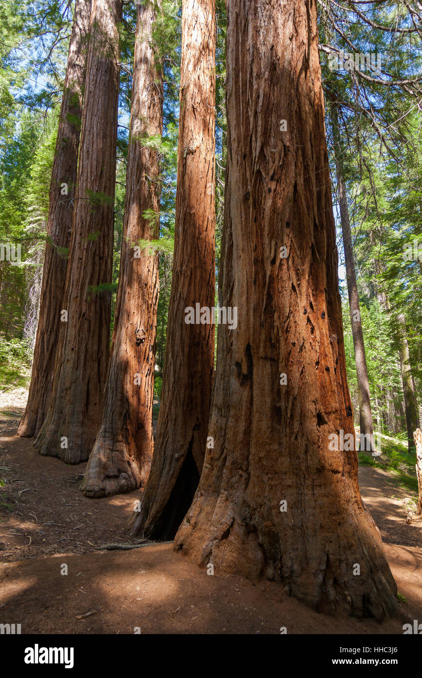 travel, big, large, enormous, extreme, powerful, imposing, immense ...