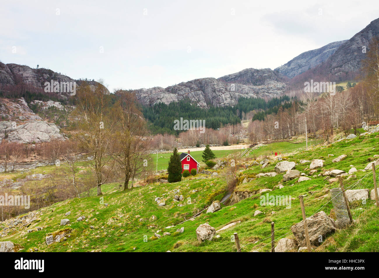 tree, stone, agriculture, farming, europe, rock, norway, outside ...
