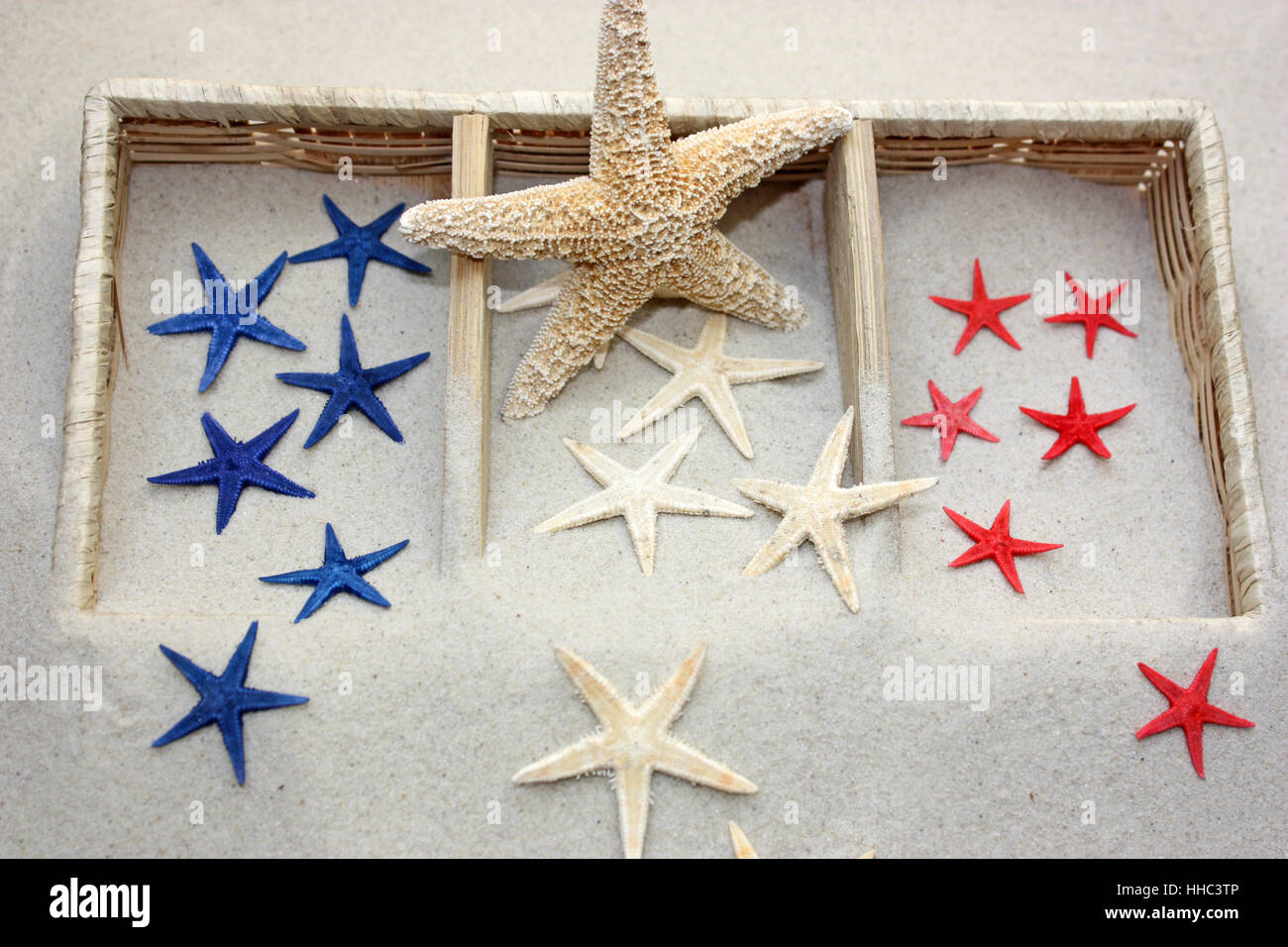 beach, seaside, the beach, seashore, sandy beach, starfish, sea animals ...