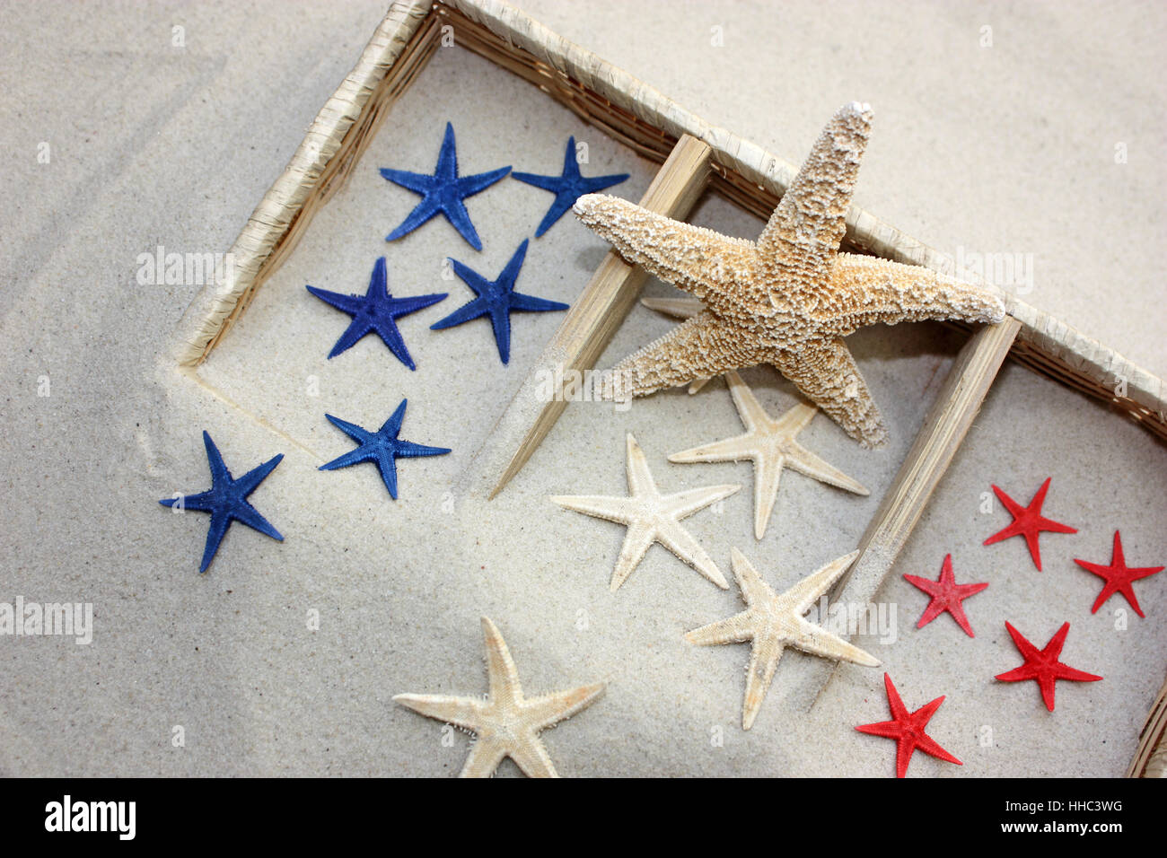 beach, seaside, the beach, seashore, sandy beach, starfish, sea animals ...