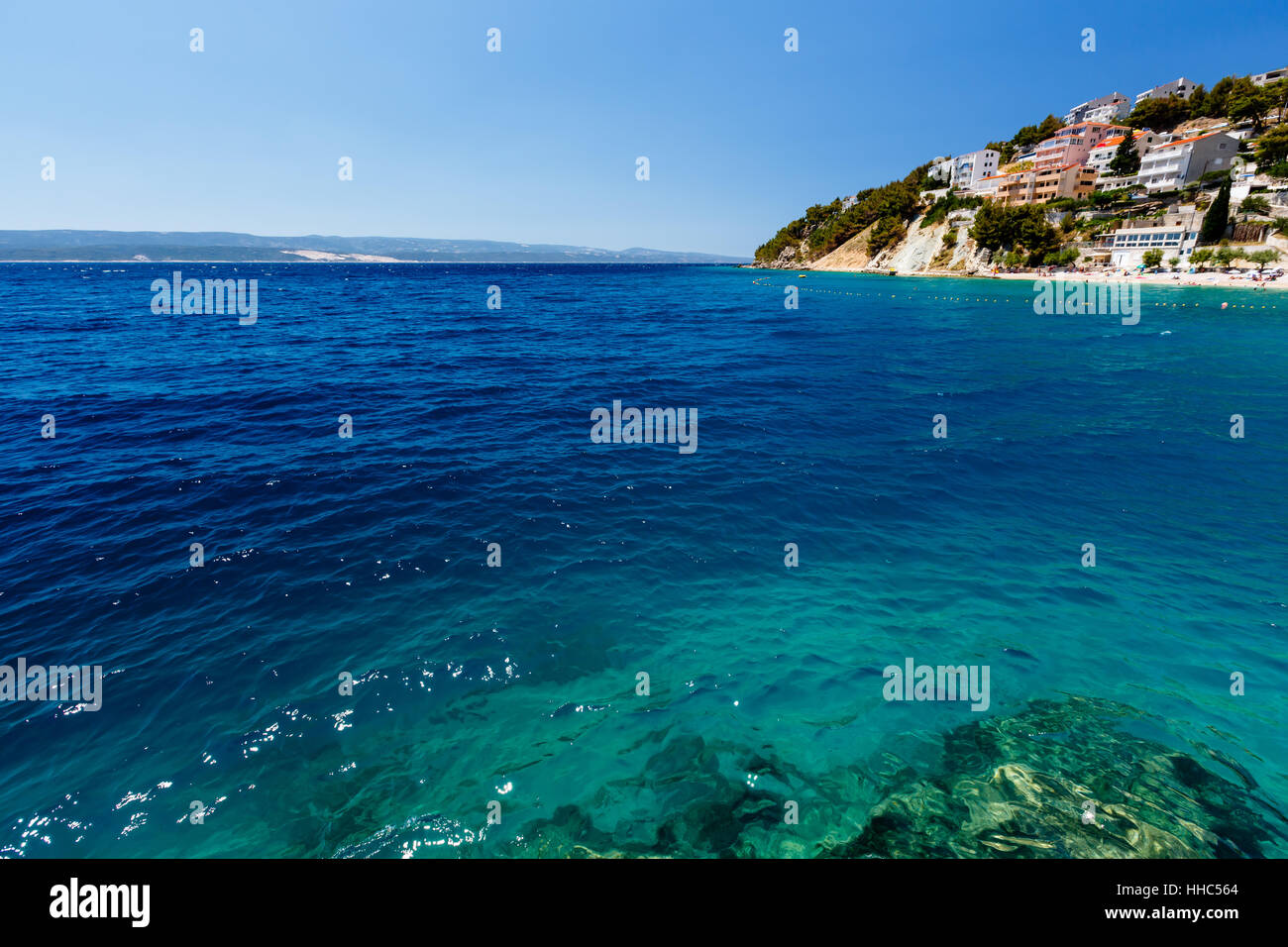 blue, humans, human beings, people, folk, persons, human, human being ...