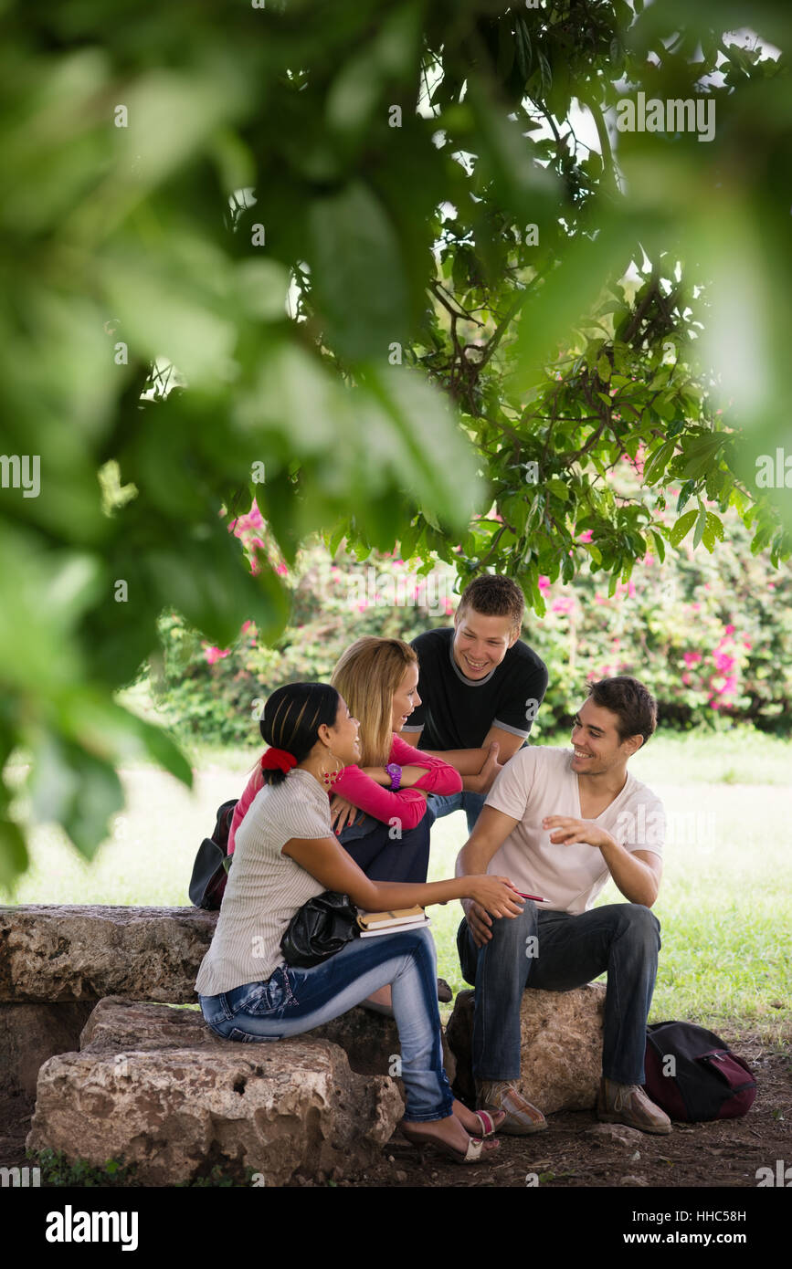 students, university, educational institution, educational ...