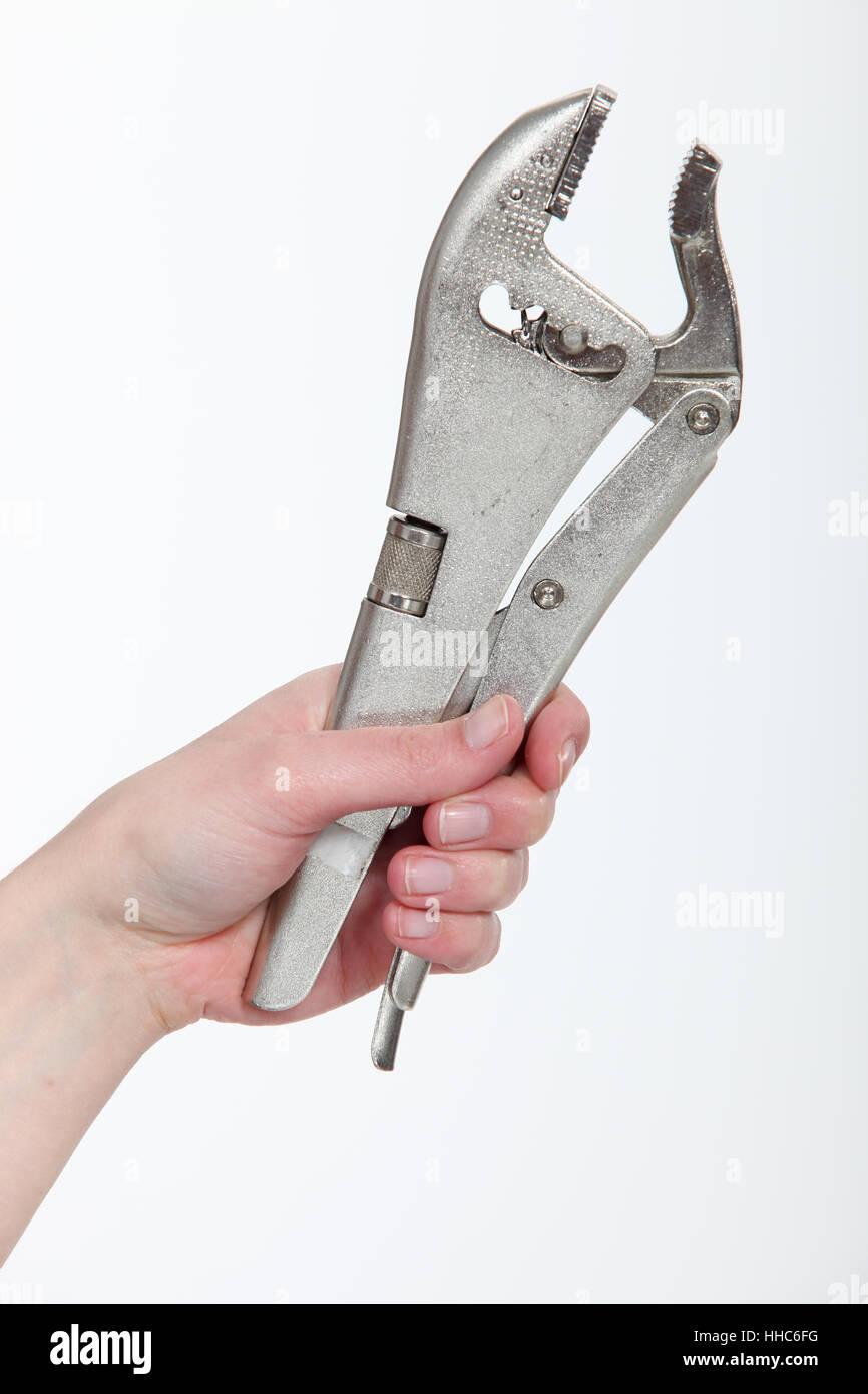 woman, women, demonstrate, tool, object, male, masculine, human, human ...