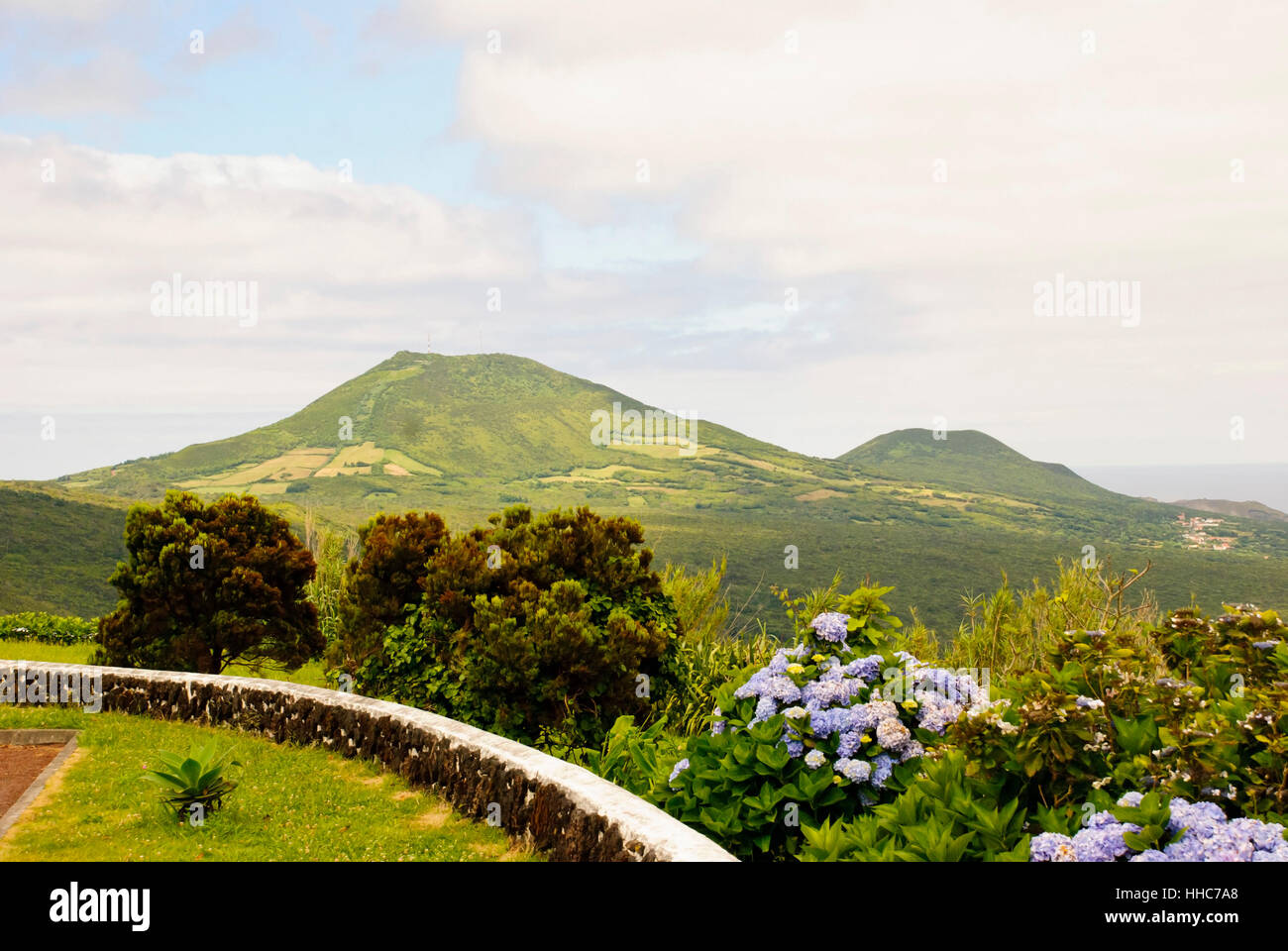 vegetation, azores, landscape, scenery, countryside, nature, lawn ...