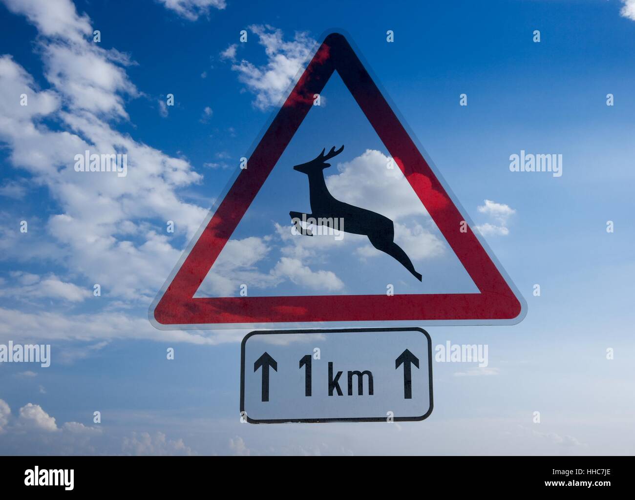sign, signal, traffic, transportation, ahead, triangle, warning, deer ...