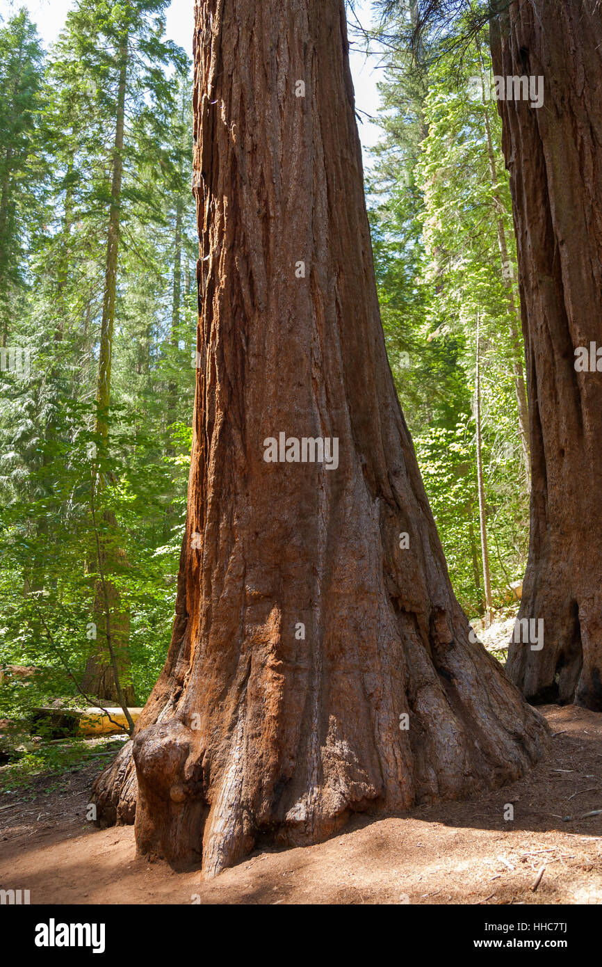 travel, big, large, enormous, extreme, powerful, imposing, immense ...