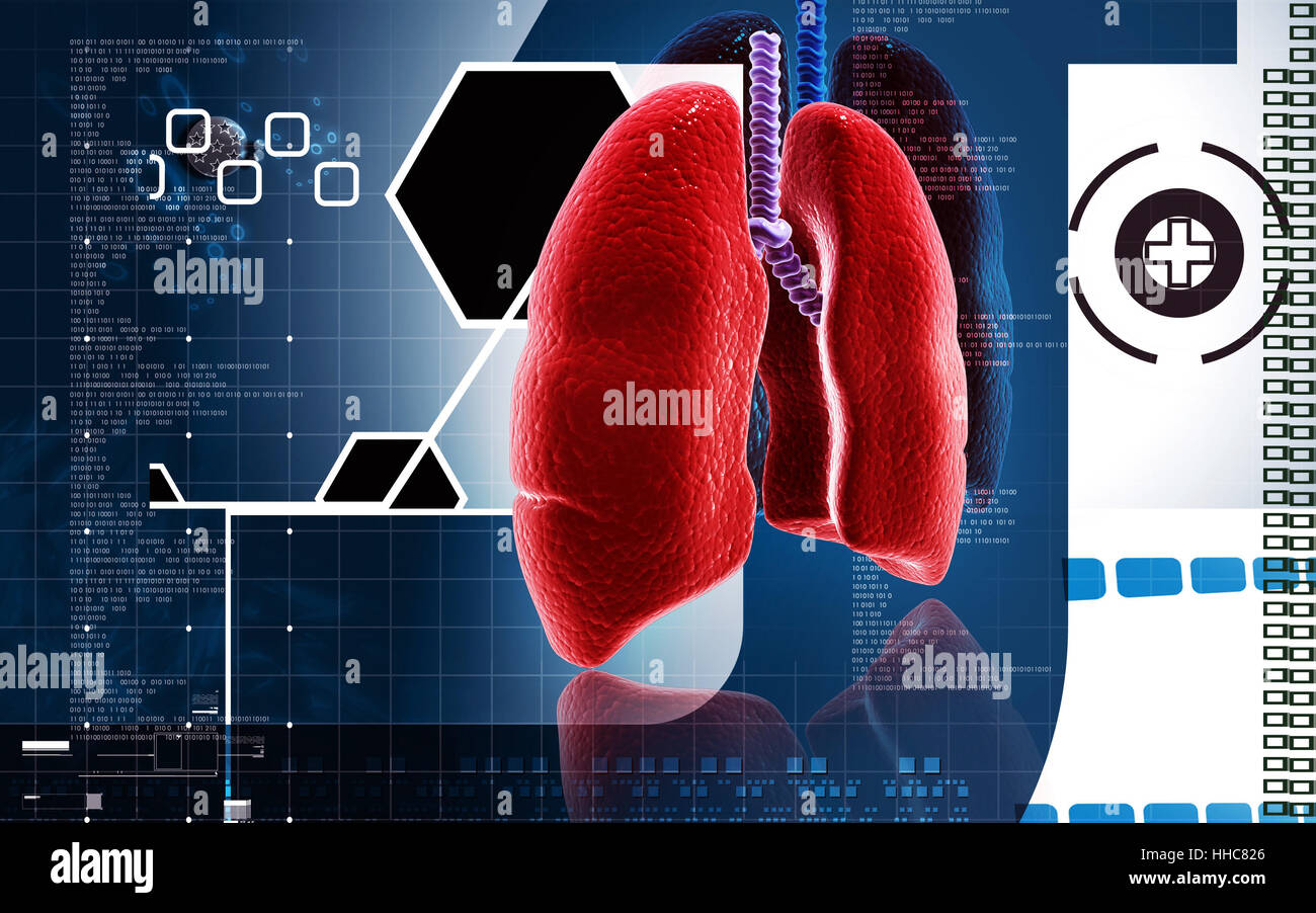 education, health, medicinally, medical, graphics, colour, science ...