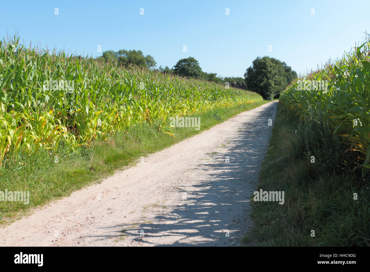 agriculture, farming, dirt road, fields, acre, connection, connectivity ...