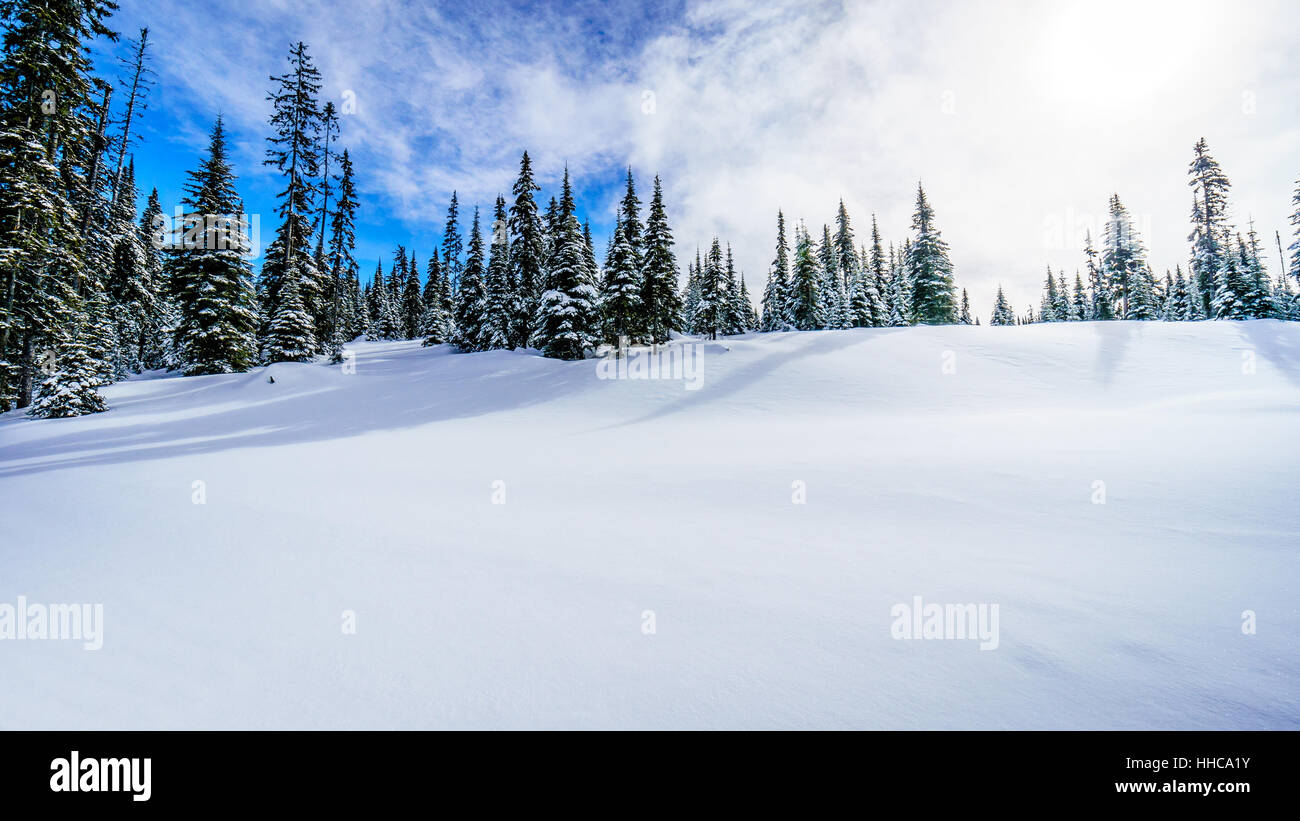 Snow pack hi-res stock photography and images - Alamy