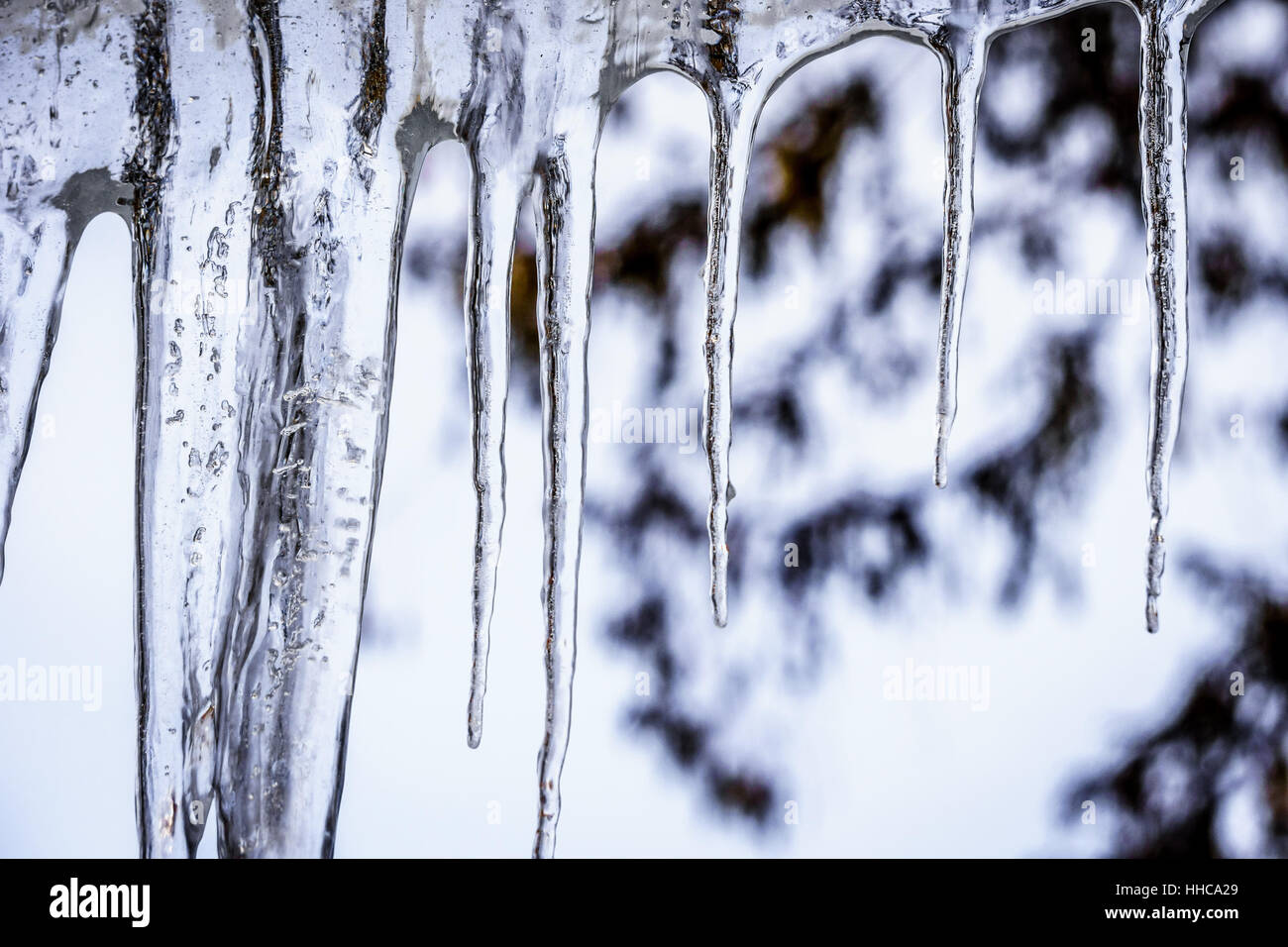 Hanging icicles hi-res stock photography and images - Alamy