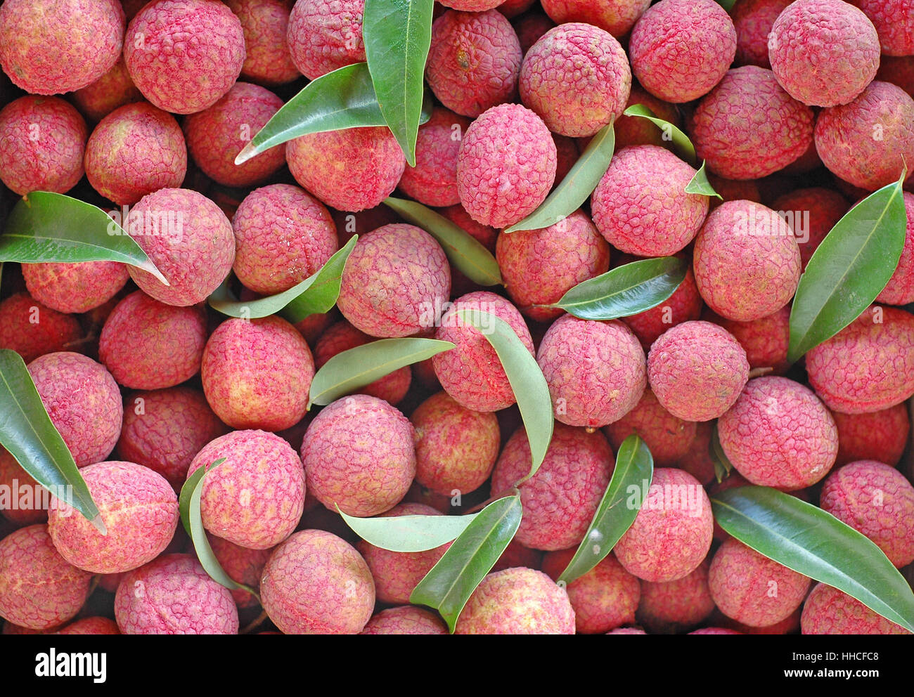 food, aliment, leaf, sweet, fruit, taiwan, bundle, group, red, fresh ...