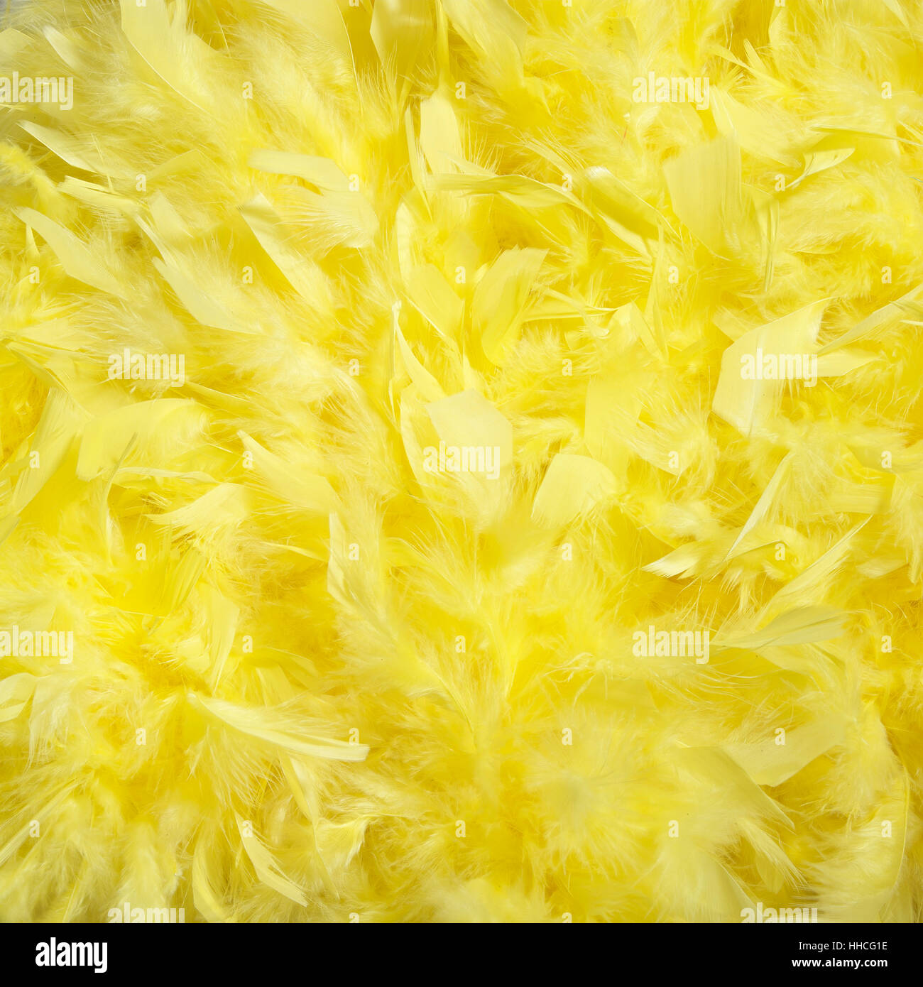 soft, feathers, smooth, feather, backdrop, background, detail, art ...