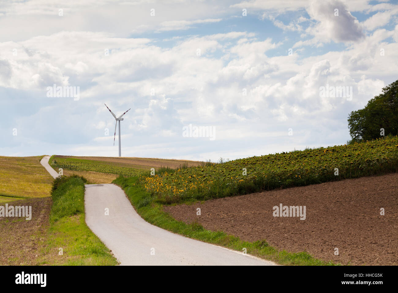 environment, enviroment, energy, power, electricity, electric power ...