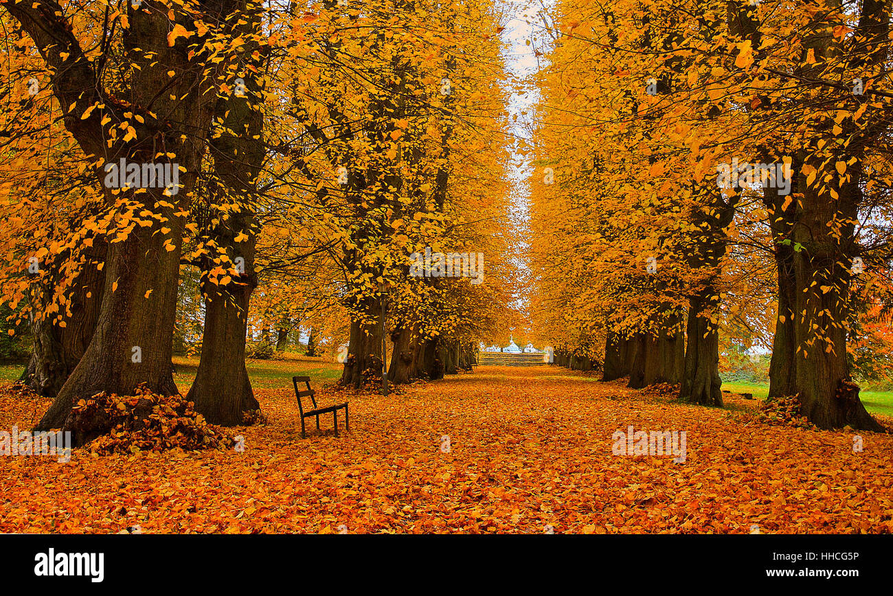 park, reprove, autumn foliage, seat, bench, park bench, fall, autumn ...